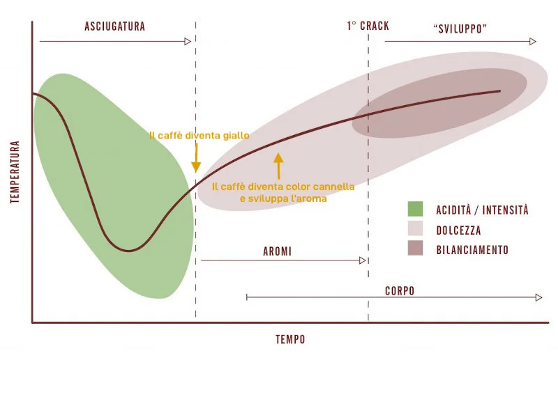 The roasting curve | Caffè Ernani